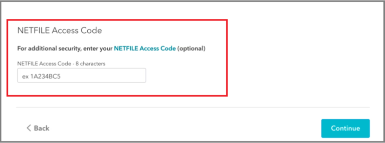 Where Is The Netfile Access Code On Notice Of Assessment? - NetworkBuildz