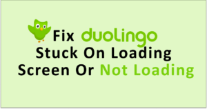 How To Fix Duolingo Stuck On Loading Screen Or Not Loading - NetworkBuildz