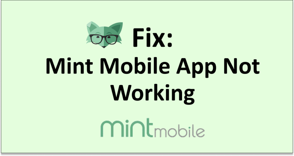 How To Fix Mint Mobile App Not Working - NetworkBuildz