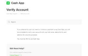 How To Fix Cash App Identity Verification Pending - NetworkBuildz