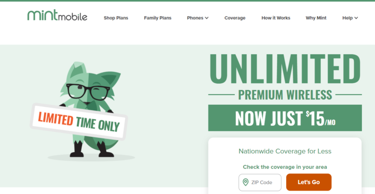 How To Fix Mint Mobile Login Not Working - NetworkBuildz