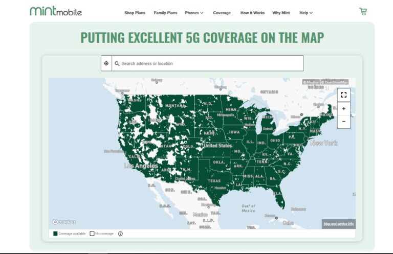 How To Fix Mint Mobile Voicemail Not Working - NetworkBuildz