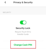 How To Reset Cash App Pin With SSN & Without SSN - NetworkBuildz
