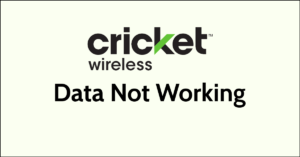 How To Fix The Cricket Wireless Data Not Working - NetworkBuildz