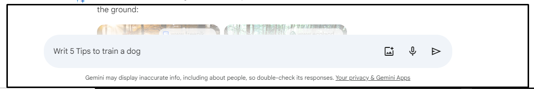 How To Use Google Gemini App: Step-By-Step Guide - NetworkBuildz